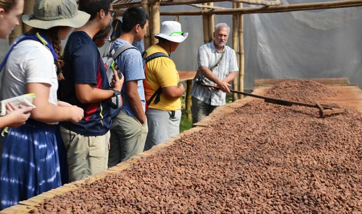 Summer Explorers — Chocolate University